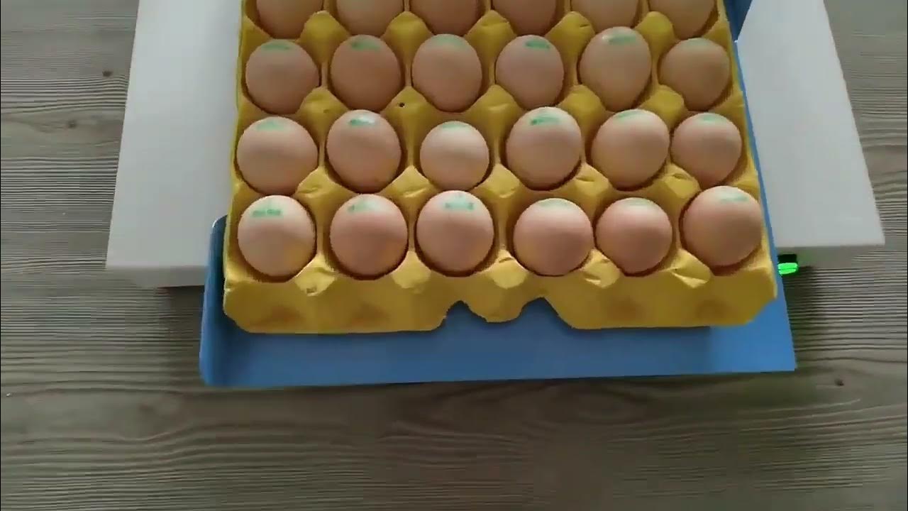 egg coding machine - YouTube