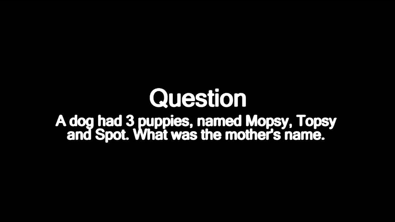 Trick Question 32 Puppies Great Trick Question Brain Teaser trick-question-32-puppies-great-trick-question-brain-teaser