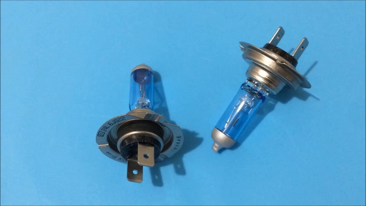 H7 Halogen Blue Globe Best Price Perth - YouTube