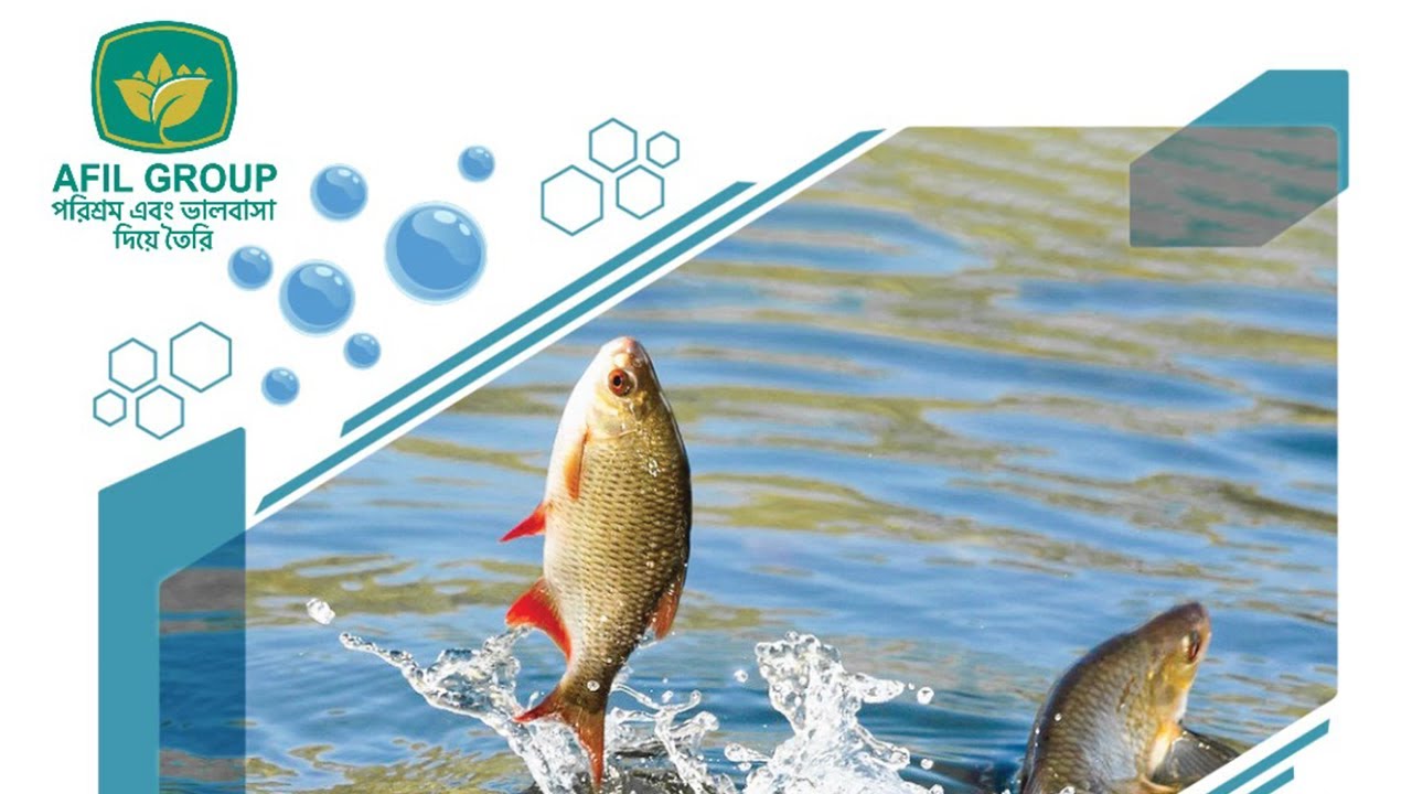 IPRS: In-Pond Raceway System in Bangladesh || Afil Aqua Fish Ltd ...