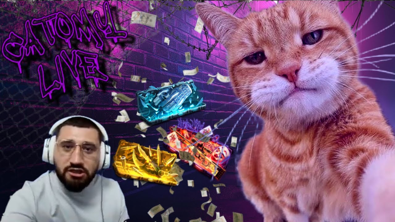 🔥 LIVE GAMING: CS2, PUBG, OUTLAST, THE FOREST & MAI MULTE! | Deschideri ...