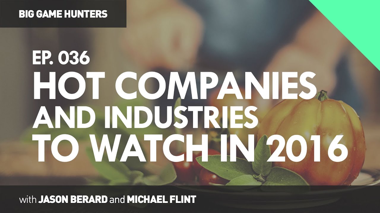 Hot Companies & Industries to Watch in 2016 | BIG GAME HUNTERS #036 ...