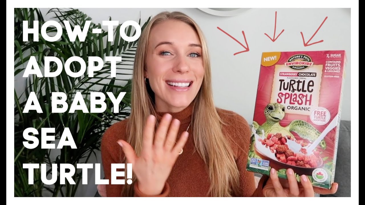 How-to ADOPT a Baby Sea Turtle! | Introducing Turtle Splash Cereal ...