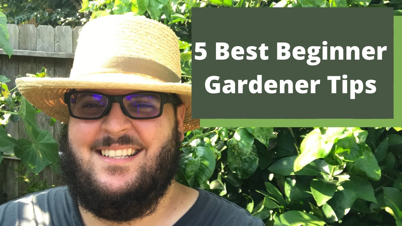 5 Best Gardening Tips For Beginner Gardeners [Part Two] - YouTube
