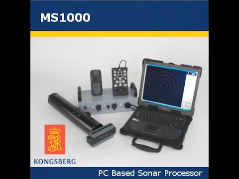 MS1000 5.41 Sonar Processing - YouTube