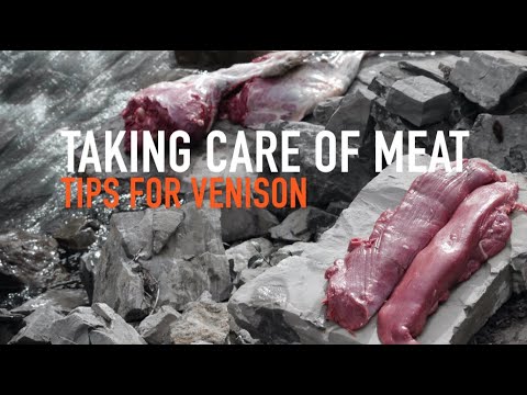 TAKING CARE OF GAME MEAT, TIPS FOR VENISON COOKING - YouTube