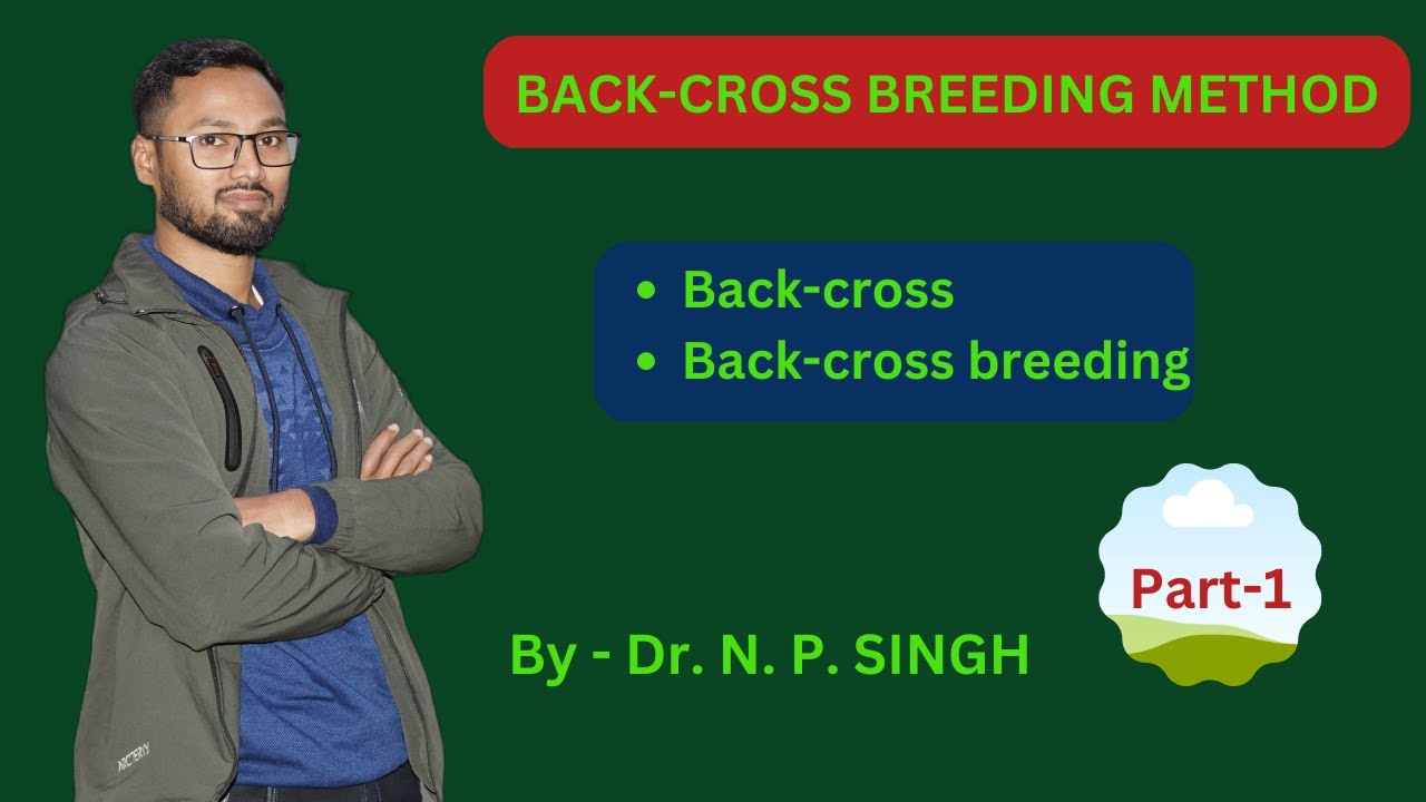 Back cross Breeding method, Part-1 - YouTube