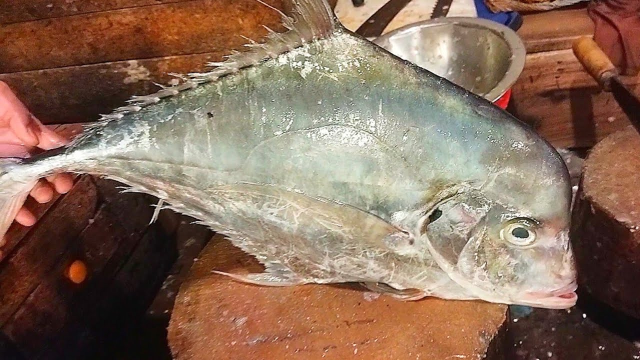 Big Fastest Tech Chanda fish Cutter video is Bangladeshi fish market ...