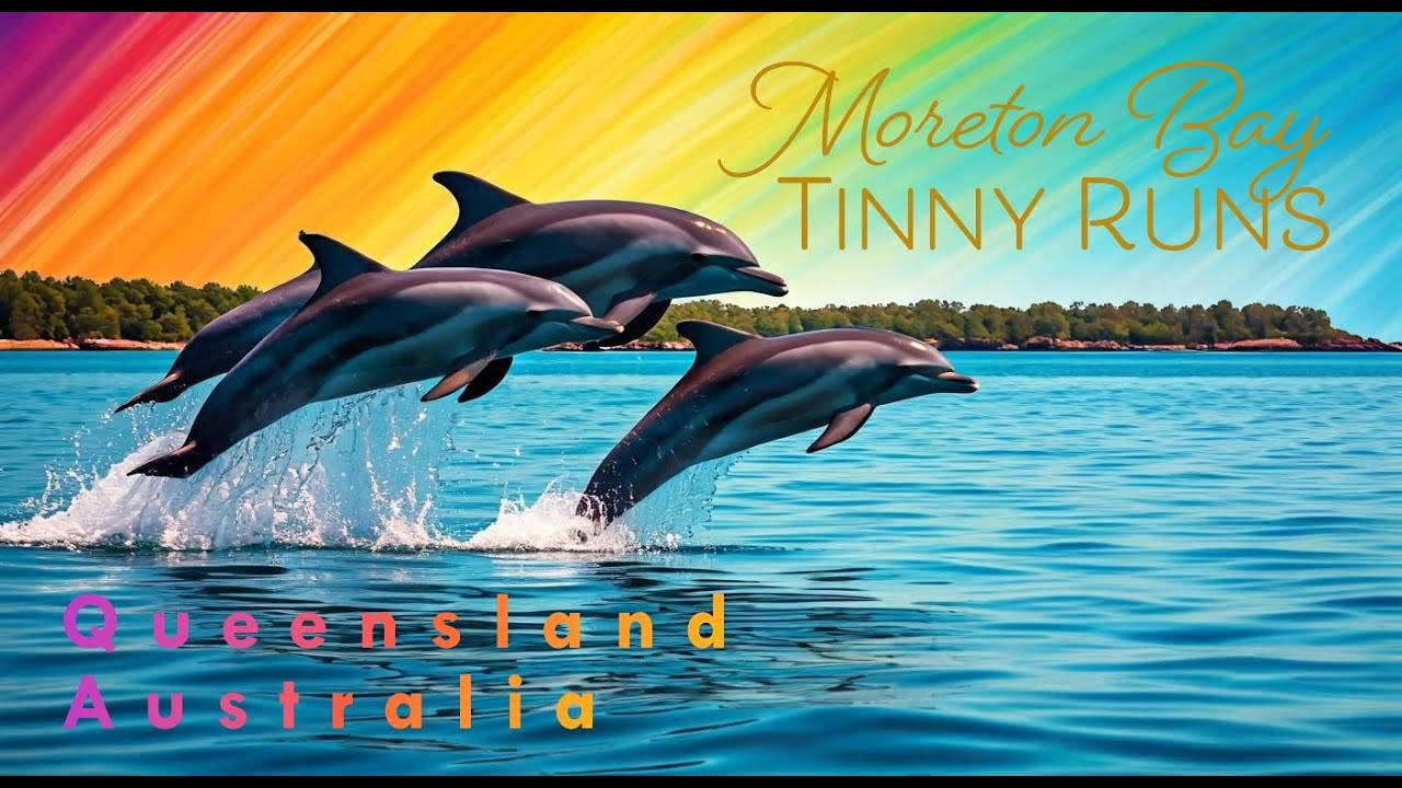 Under The Bridge down town. In the Tinny. Tingalpa Creek - YouTube