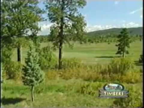 Timbers at Chama - YouTube