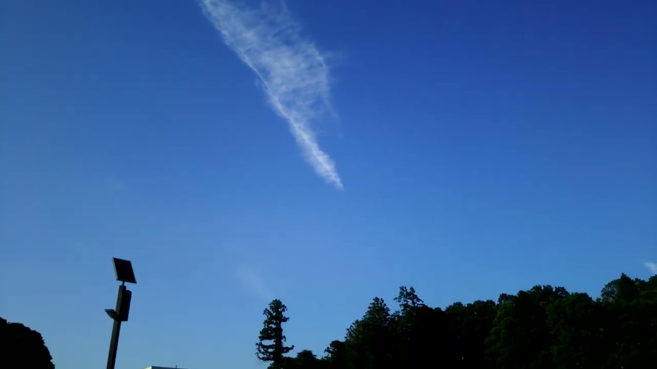 Sound of higurashi ( evening cicada ) in Japan, 2022 ひぐらしの鳴き声 ☺️ - YouTube