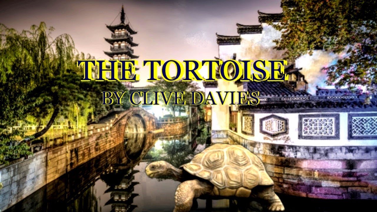 The Tortoise (original music) - YouTube