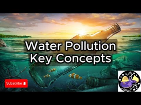 Water Pollution - Key Concepts Overview Questions Study Tool - Audio ...
