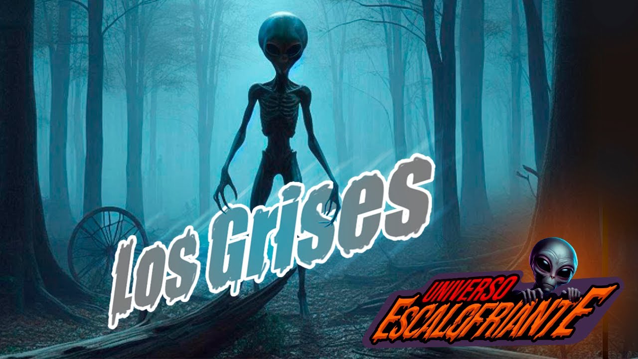 Seres Extraterrestres la raza de Los GRISES. - YouTube