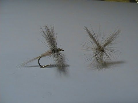 fly tying with hugh! the gray fox dry fly. - YouTube