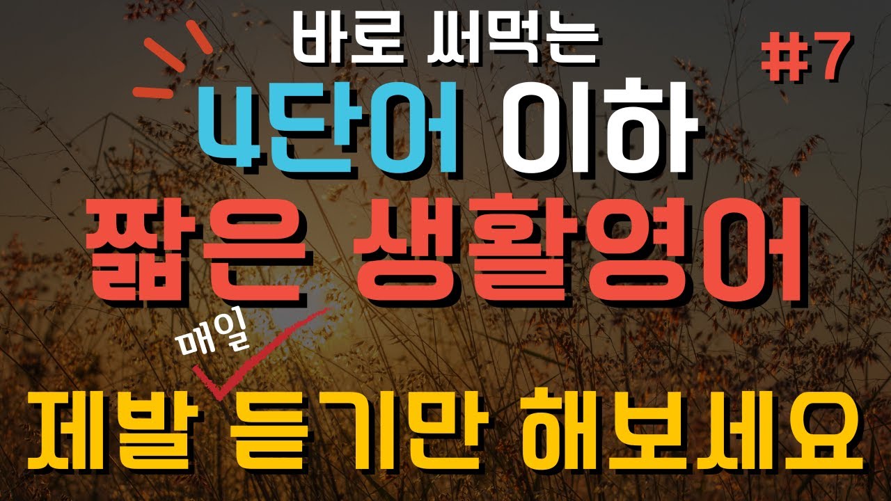 짧은 생활영어 7 틀어만 두세요|짧고 쉬운 4 단어 이하 영어 회화 30 문장|미국인이 매일 쓰는 기초생활영어 듣고 반복