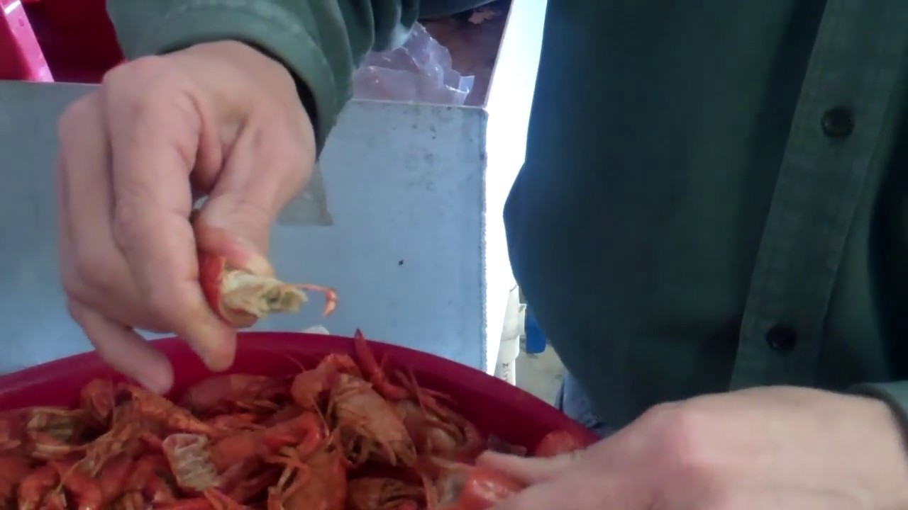 How To Peel & Eat Louisiana Crawfish - YouTube