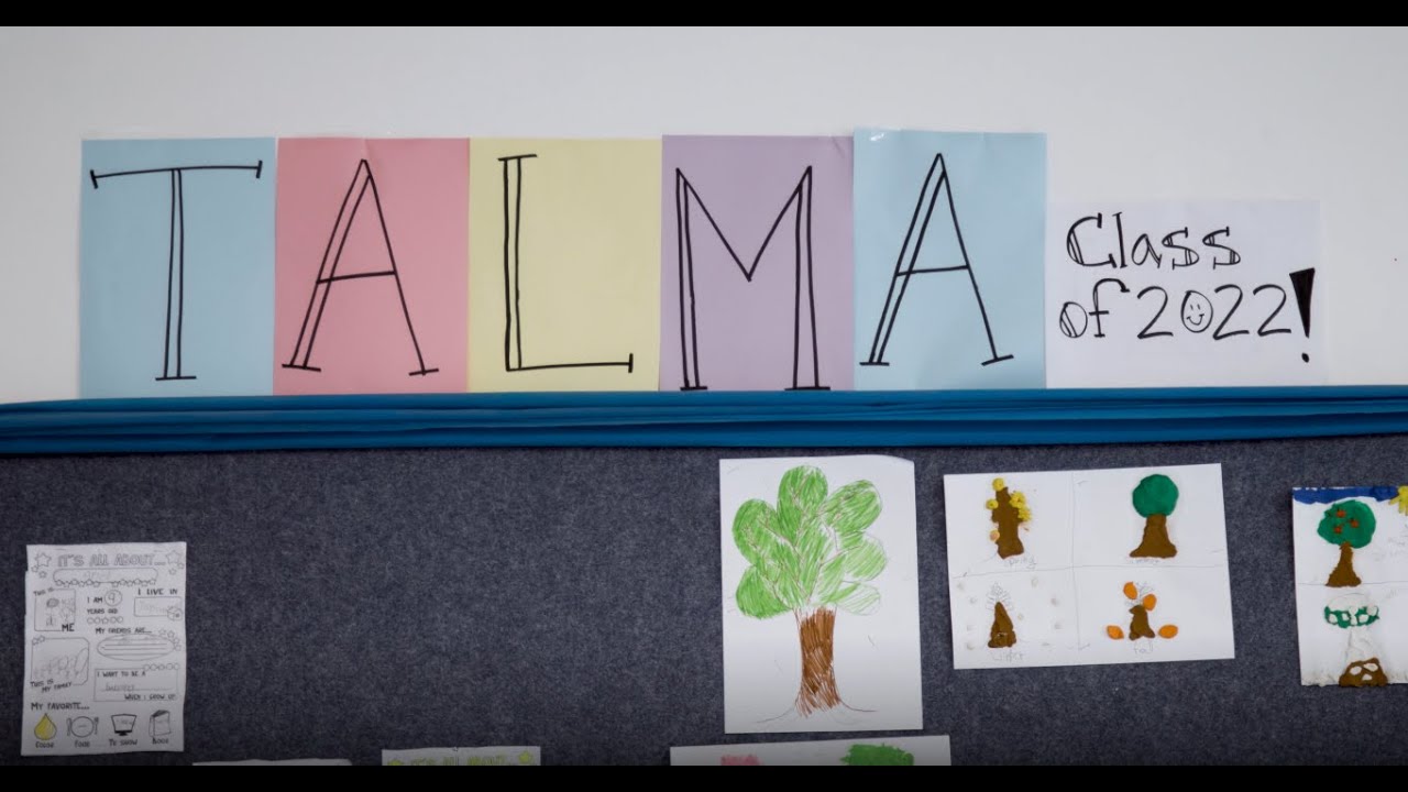 TALMA Summer Fellowship 2022 - Fully Funded Israel Experience for ...