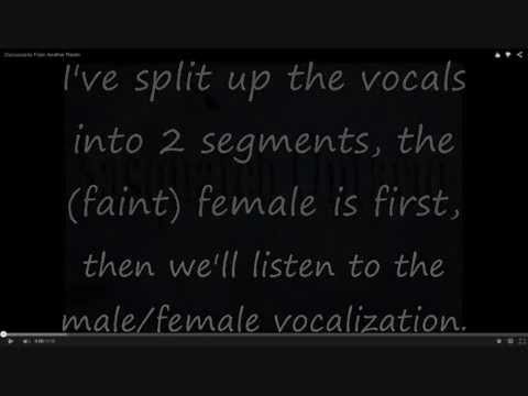 Sasquatch Yelling In The Forest - YouTube