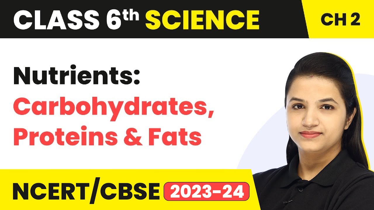 Class 6 Science Chapter 2 | Nutrients: Carbohydrates, Proteins & Fats ...