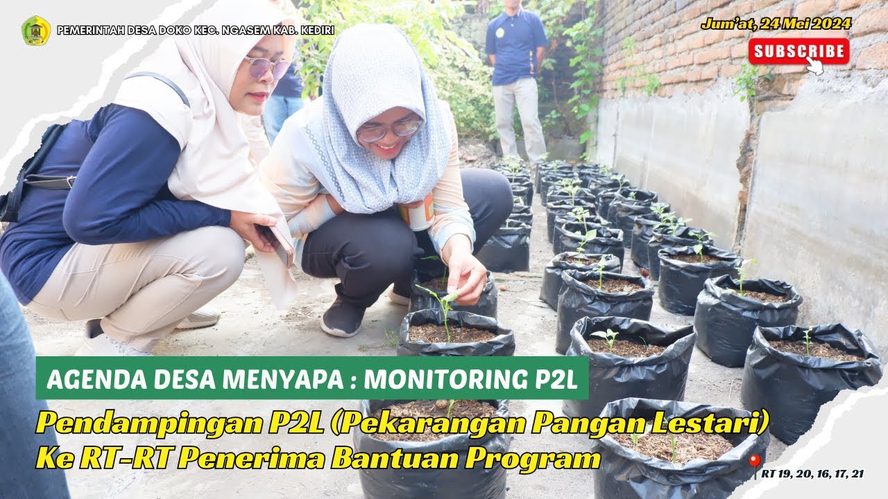 Monitoring program P2L (Pekarangan Pangan Lestari) ke RT-RT penerima ...