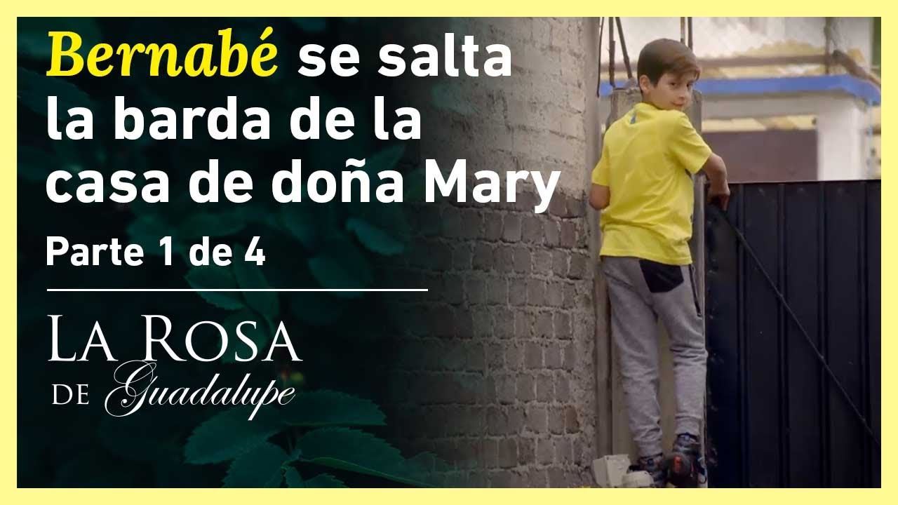 La Rosa de Guadalupe 1/4: Bernabé y sus amigos le tienen miedo a doña ...