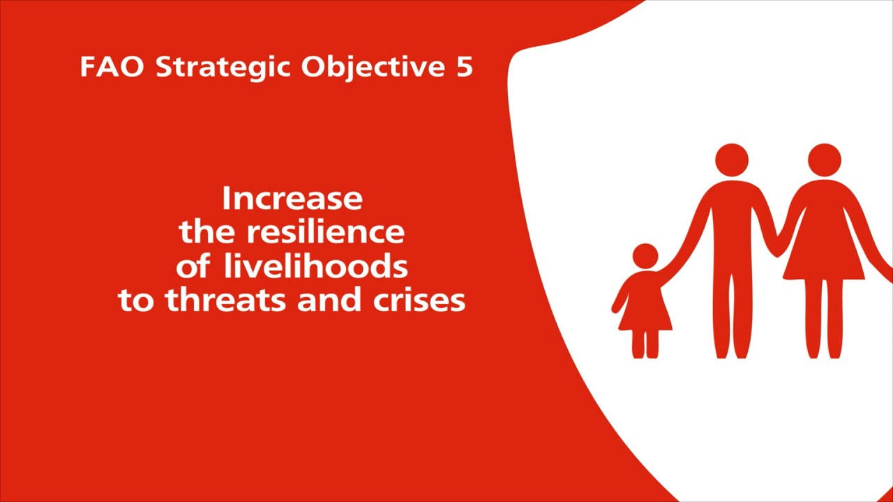 FAO Strategic Objective 5 - YouTube