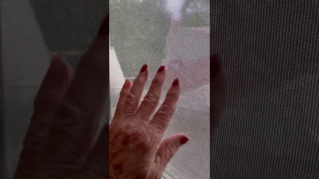 24Dec2021-25Dec1961=60yearsAgo Anniversary with Uros Colakovic 88 - YouTube