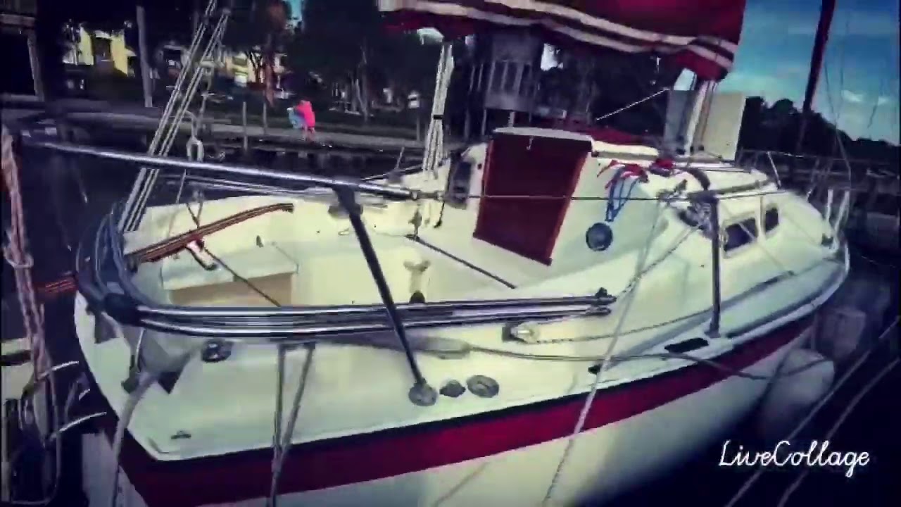 Video walkthrough of Dimpsy - YouTube