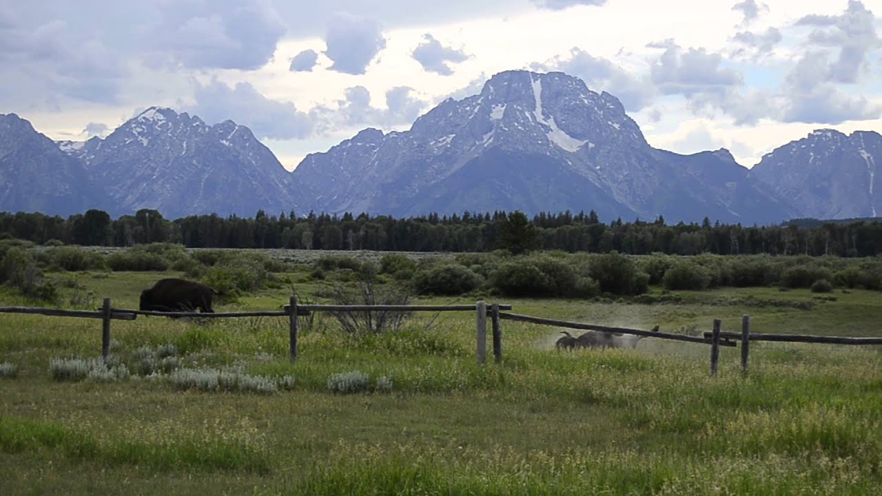 GTNP Day 3 128 - YouTube