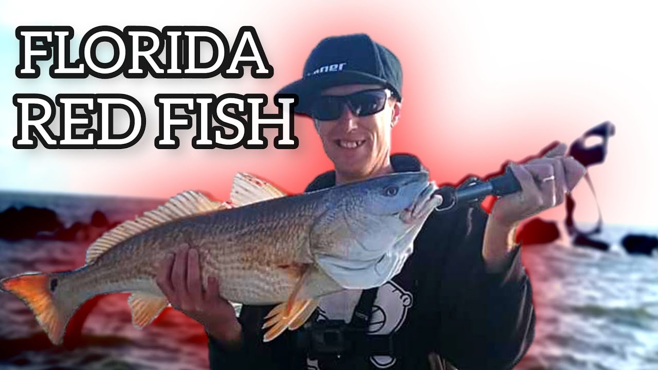 How we Caught Red Fish (Red Bass) in Jacksonville with Captain Dave ...