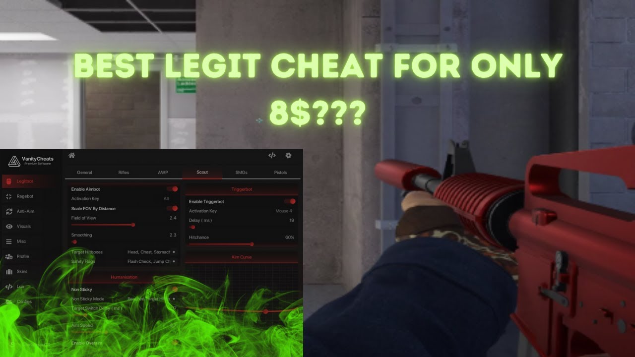 CS2 Legit Cheating ft. vanitycheats.xyz - YouTube