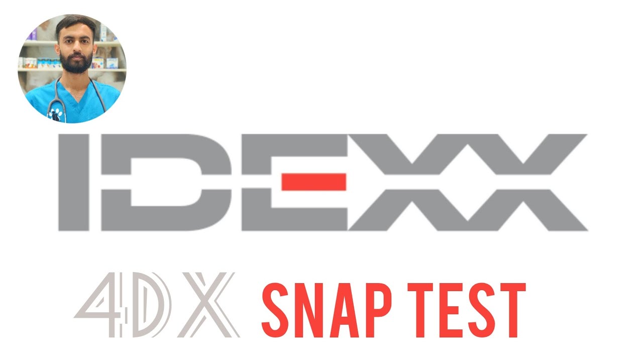 How to perform IDEXX 4DX Snap Test / Veterinarian #heartworm - YouTube