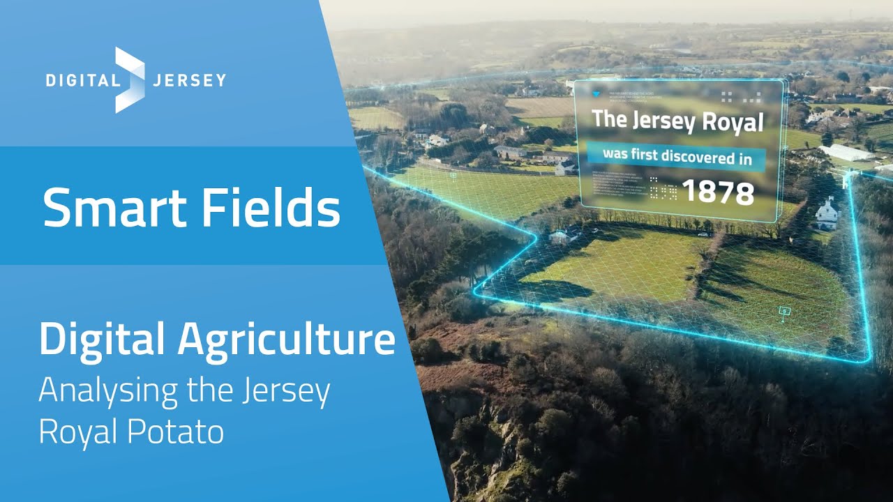 Smart Fields - YouTube