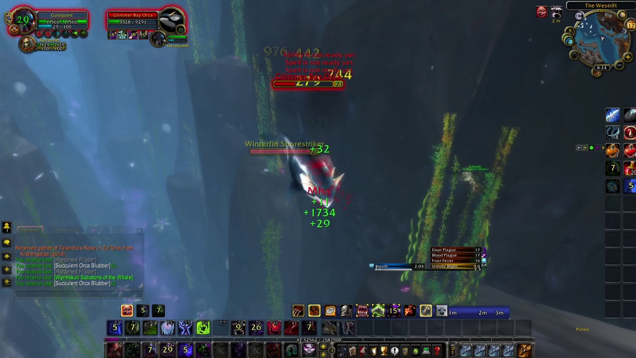 Succulent Orca Stew wow quest - YouTube