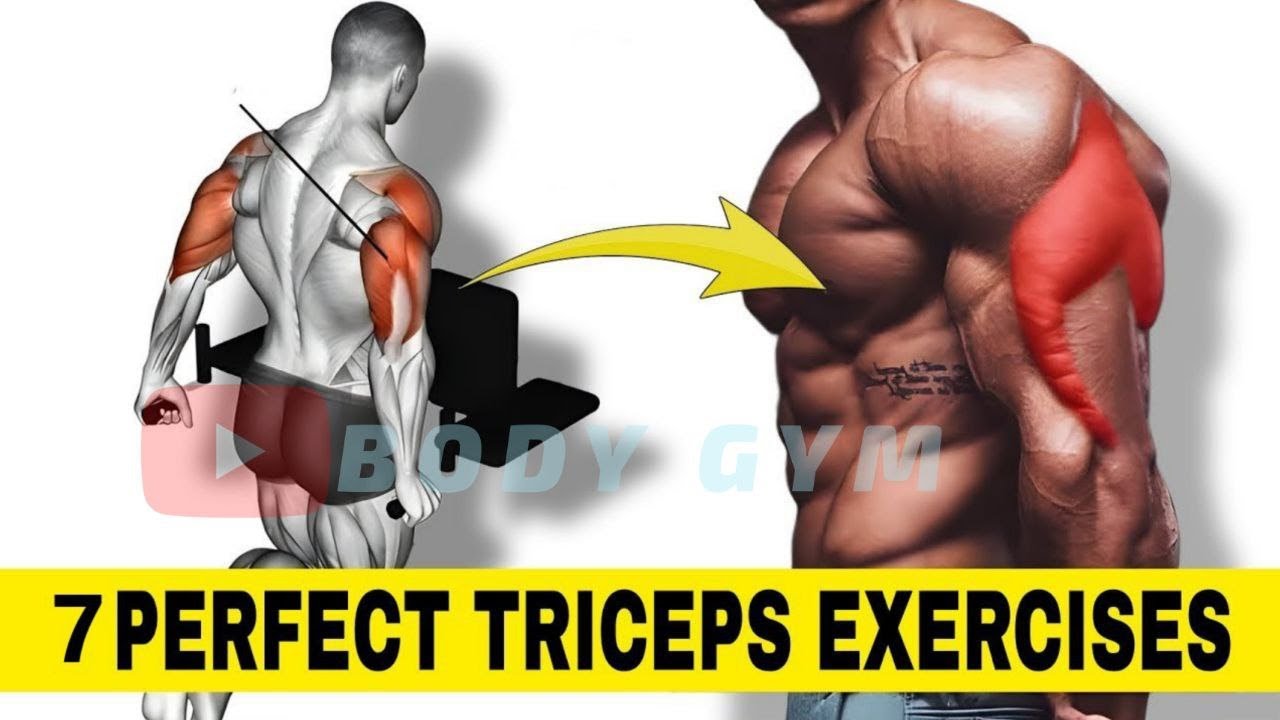7 Tricep Exercises for MASSIVE Arms | Triceps Workout At Gym | Bigger ...