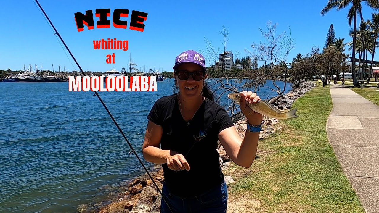 Fishing Day Trip to Mooloolaba - YouTube
