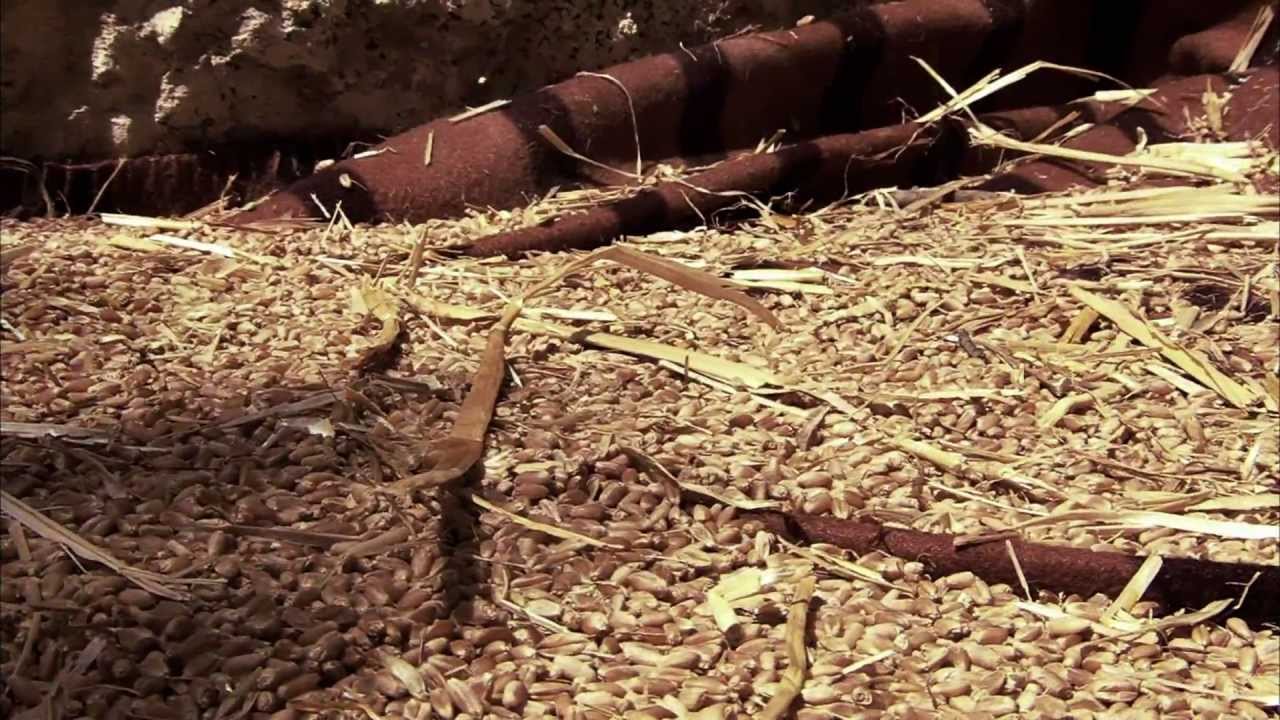 #5 - Call me Mara.m2t - YouTube