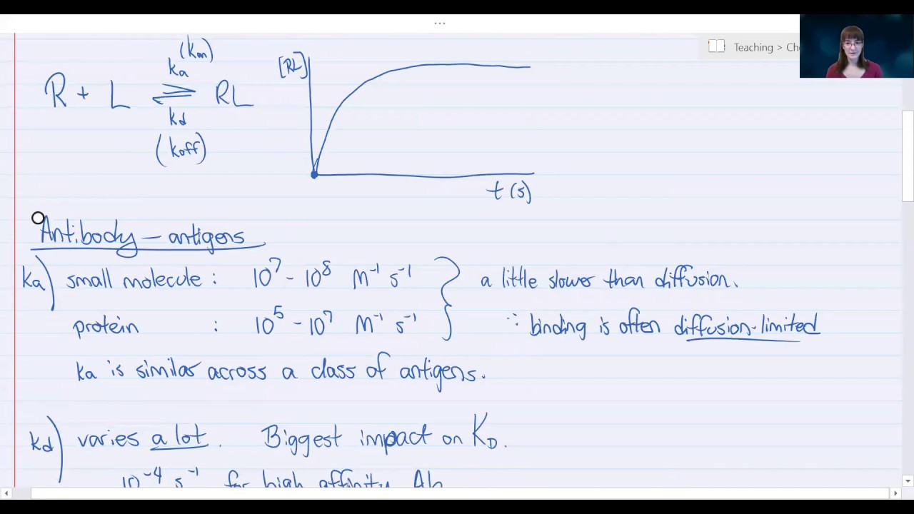 Bioanalytical Chemistry: Kinetics of Antibody Binding - YouTube