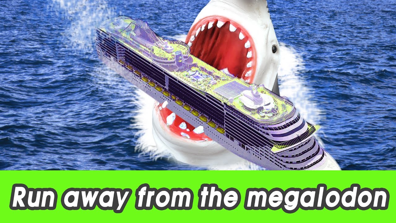 [EN] #97 Run away from the megalodon! kids education, learn animals ...