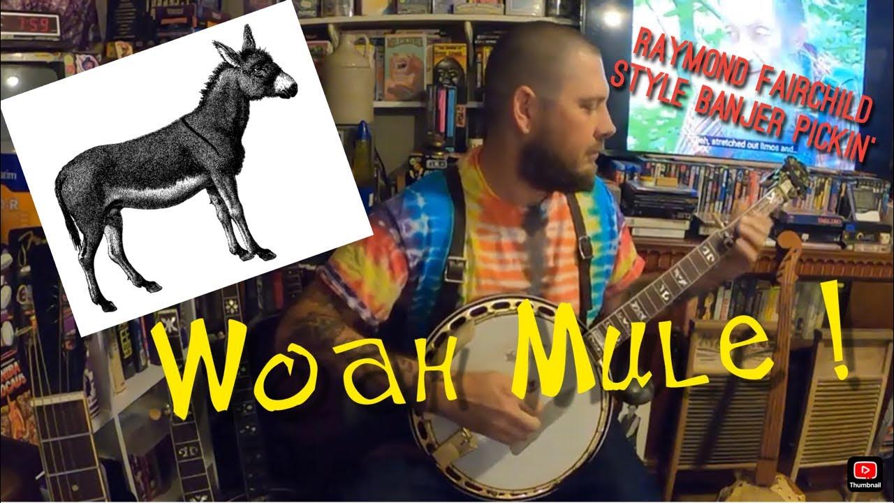 Woah mule-bluegrass banjo. Raymond Fairchild style - YouTube