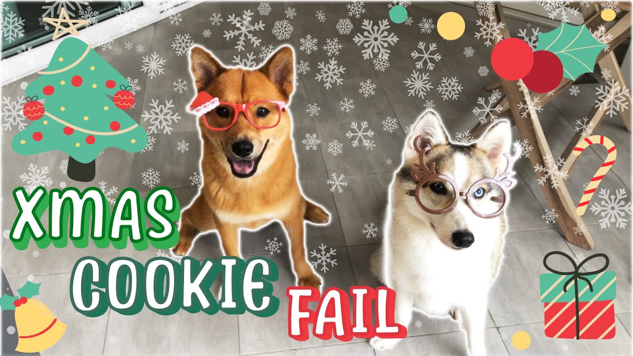 Reindeer Dogs Taste - Xmas Cookie Fail - YouTube