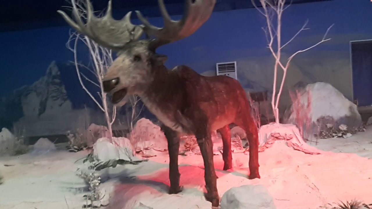 Ice Age Alive Chello and Puteri Wias - YouTube