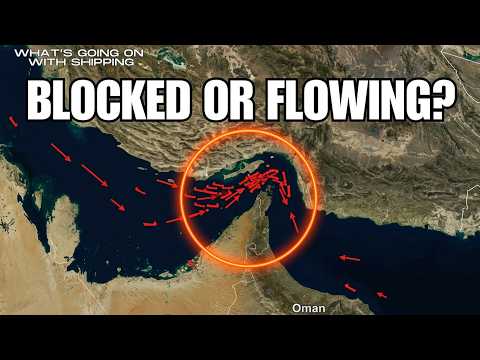 Is Oil Blocked or Flowing?  Co-Founder of Tanker Trackers Samir Madani Joins WGOW Shipping