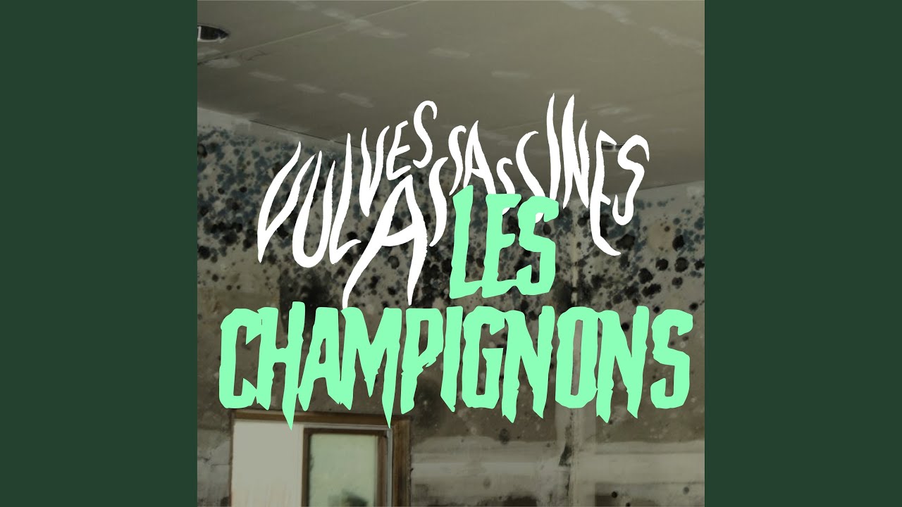 Les champignons - YouTube