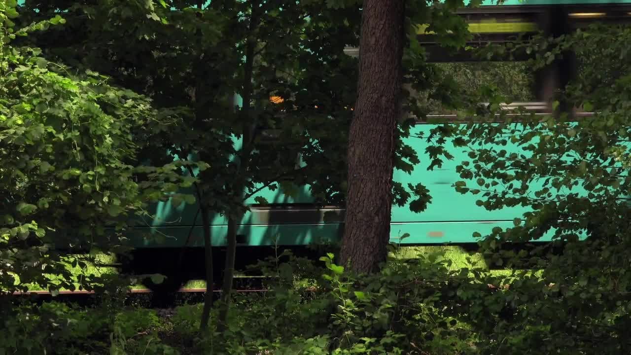 Train Passing By Trees Stock Video - YouTube