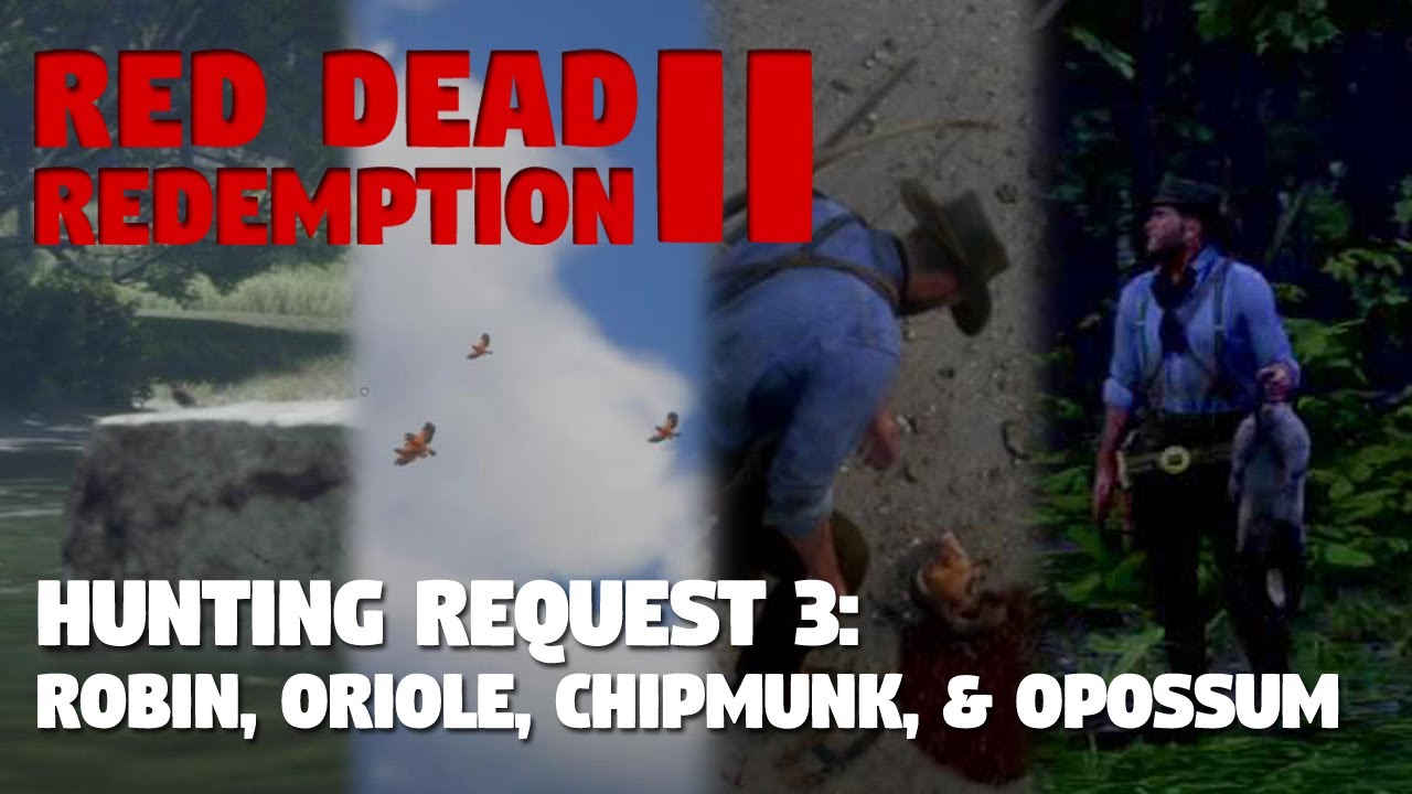 ROBIN, ORIOLE, CHIPMUNK AND OPOSSUM Red Dead Redemption 2 Gameplay ...