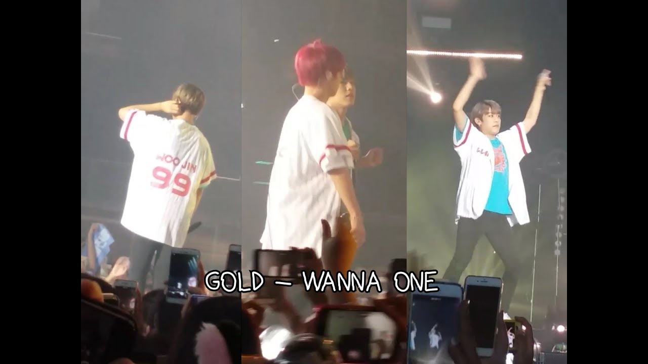 180805 Gold Park Woojin Focus Wanna One World Tour One The World In
