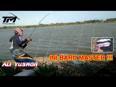 Mancing BABON belanak bersama master belanak Jogja || spot sungai Progo Yogyakarta