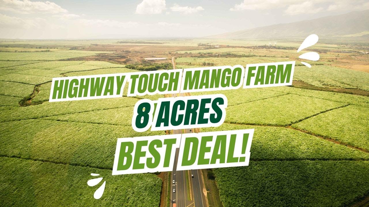 8 ACRES HIGHWAY TOUCH PREMIUM MANGO FARM LAND (EXCLUSIVE PROPERTY ...